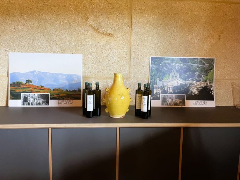 Montpellier:Half-Day Terrasses du Larzac Wine and grotto - Key Points