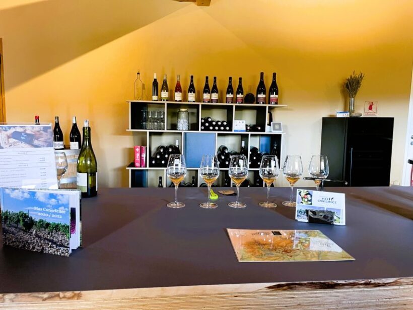 Montpellier:Half-Day Terrasses du Larzac Wine and grotto - Authentic and Balanced: The Experience and Its Value