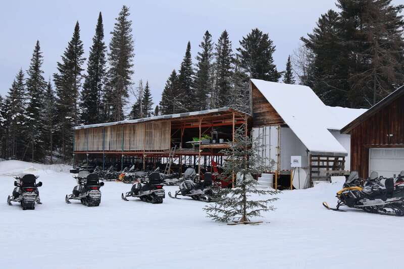 Montreal: Canadian Forest Guided Tour by Snowmobile - Authentic Reviews and Insights