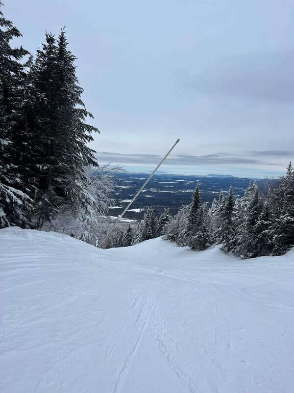 Montreal: Canadian Forest Guided Tour by Snowmobile - Practical Details and Tips