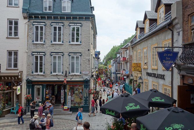 Montreal City Sightseeing Tour with Live Commentary - An In-Depth Look at What You Can Expect