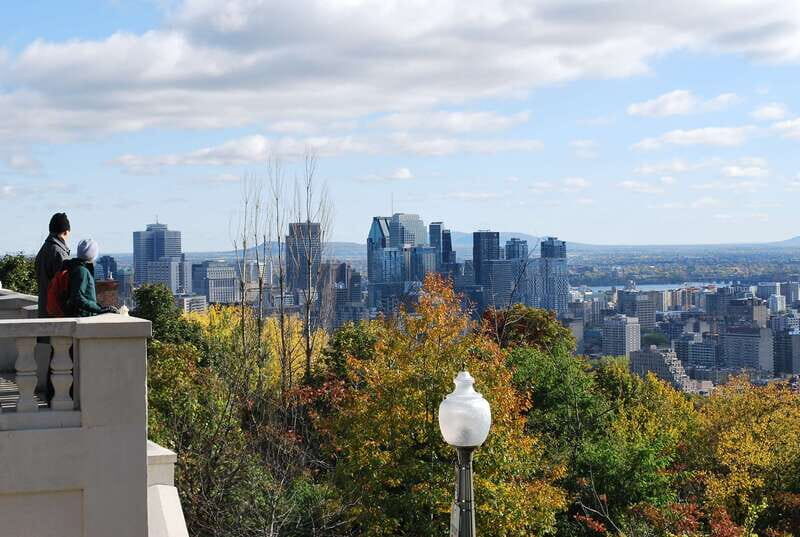 Montreal: Full-Day Small Group City Tour - Who Should Take This Tour?