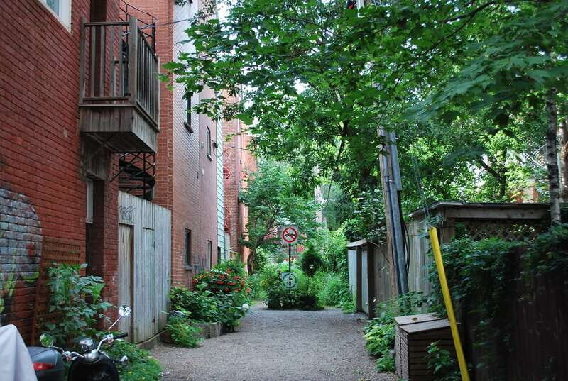 Montreal: Full-Day Small Group City Tour - The Sum Up