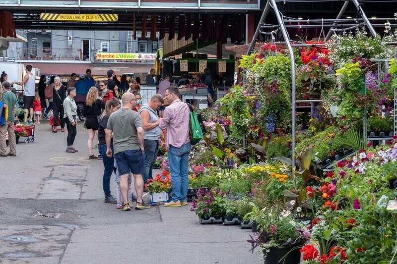 Montreal: Jean-Talon Market & Little Italy Highlights Tour - Exploring Montreal’s Food and Culture on Foot