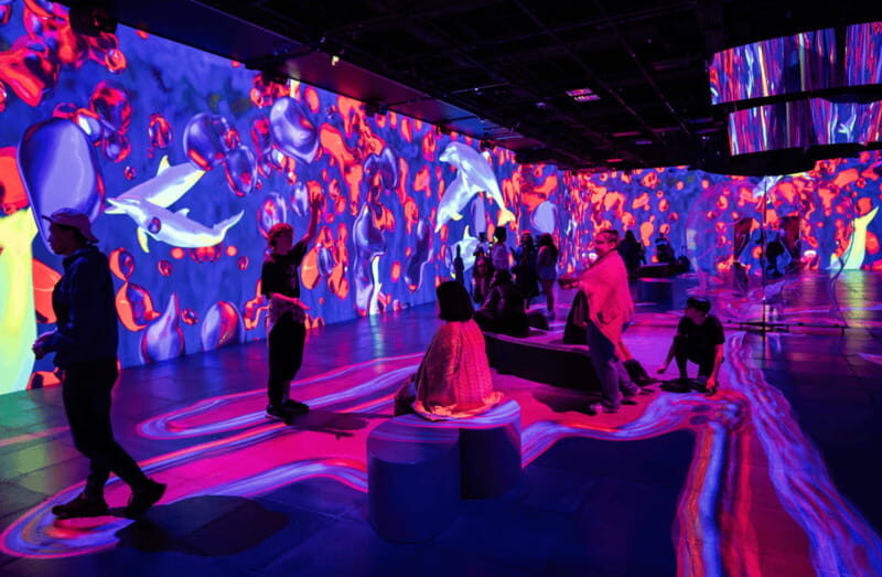 Montreal: OASIS Immersion Entry Ticket - FAQ about Montreal: OASIS Immersion Entry Ticket