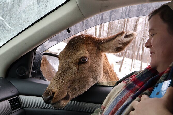 Montreal: Omega Park Canadian Wildlife Safari Adventure - The Journey Begins: What to Expect from the Itinerary