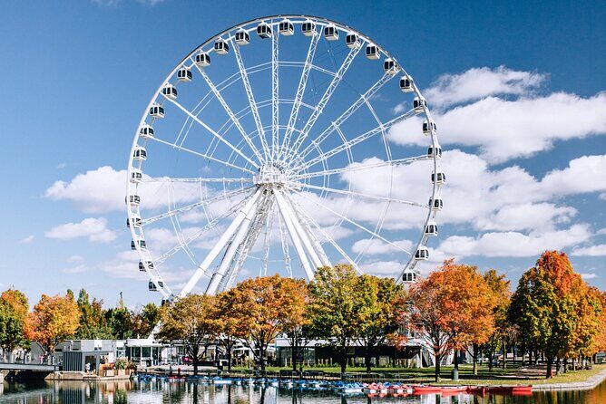 Montréal Scavenger Hunt and City Highlights Walking Tour - Who Will Love This Tour?