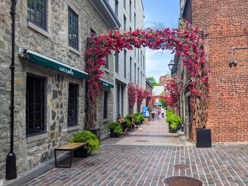 Montréal: The Original Old Montréal Walking Tour - The Sum Up