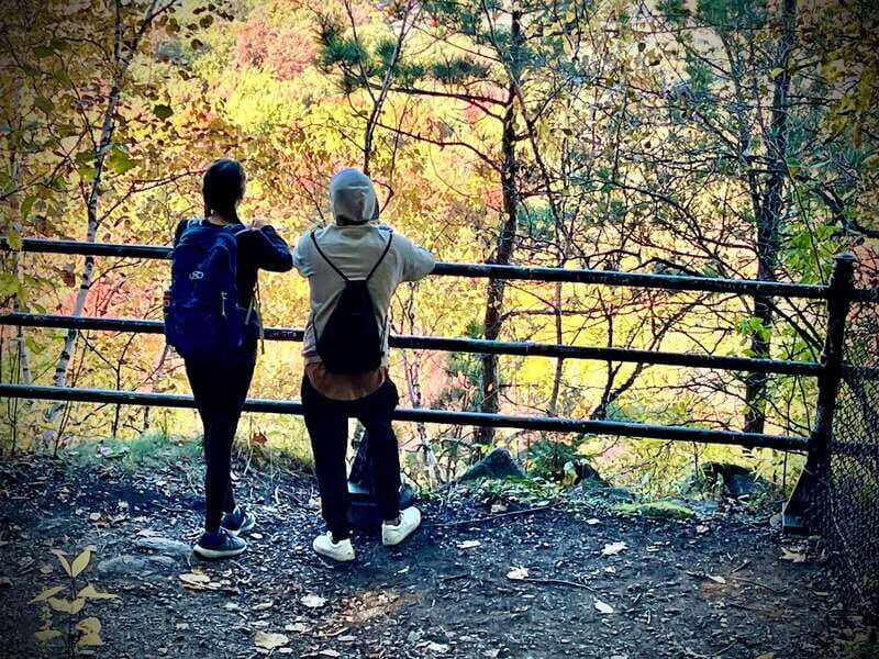 Montreal's Mount Royal Tour - Who This Tour Is Perfect For