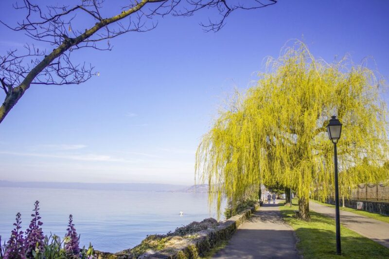 Montreux: Express Walk With a Local in 60 Minutes - Booking Information