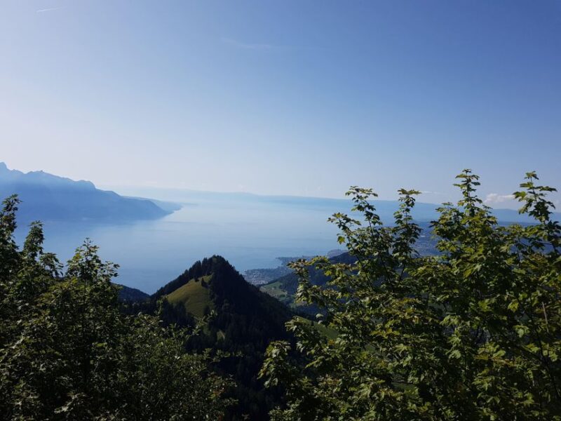 Montreux to Rochers-de-Naye: Alpine Adventure Ticket - Accessibility and Traveler Reviews
