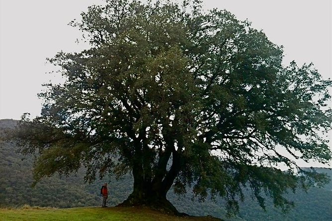 Montseny Guided Hiking Tour from Barcelona with Organic-friendly Lunch - FAQ