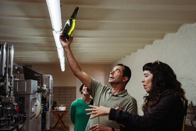 Montserrat and Cava Winery Full-Day Trip From Barcelona - Inclusions and Logistics