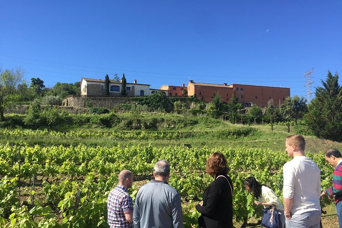 Montserrat & best winery private tour experience with a local expertise - Why This Tour Stands Out