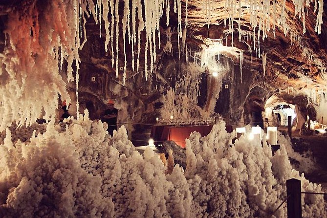 Montserrat Cardona and Salt Mountain Private Tour - Traveler Feedback and Reviews