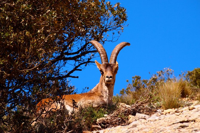 Montserrat Half Day with Cable Car and Easy Hike from Barcelona - The Itinerary: What to Expect