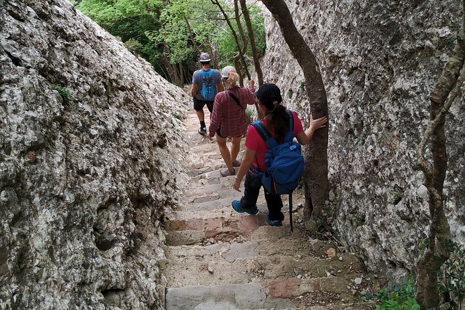 Montserrat Hiking Experience & Monastery Premium Small Group Tour - Authentic Insights from Past Travelers