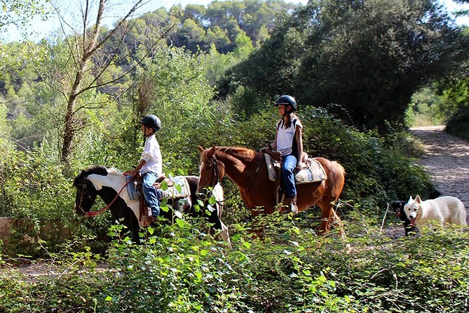 Montserrat Horseback Riding & Monastery Small Group Tour - Scenic Countryside