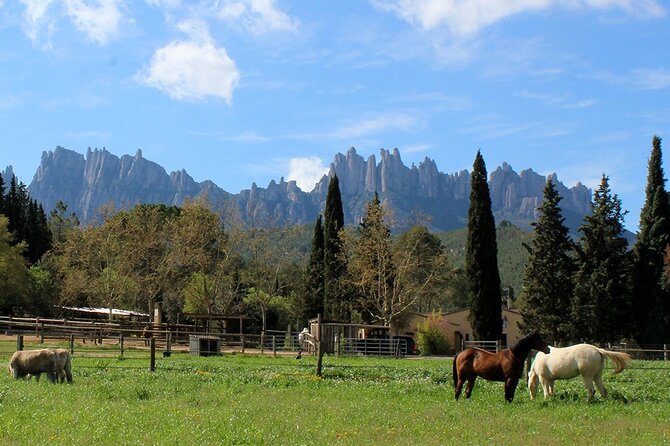 Montserrat Horseback Riding & Monastery Small Group Tour - Meeting Point and Departure