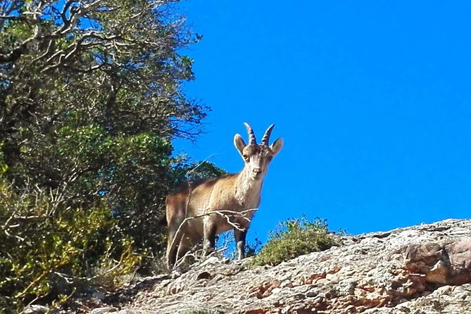 Montserrat Land of Shrines - One Day Small Group Hiking Tour From Barcelona - Exploring the Hiking Trails