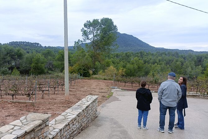 Montserrat tailored private tour: Monastery, winery & more! - Frequently Asked Questions