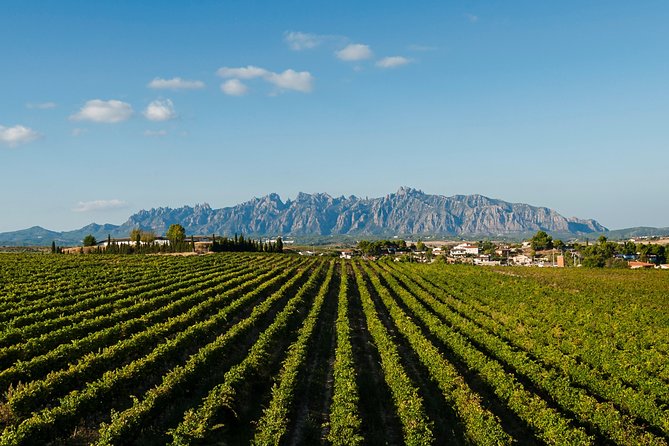 Montserrat,Vineyard, Wine Tasting Small Group Tour & Hotel Pickup - Penedès: A Rolling Canvas of Vineyards and Cava Wineries