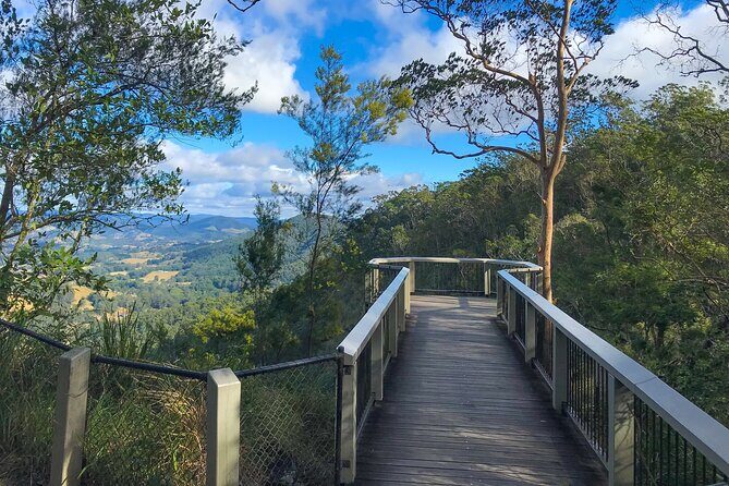 Montville, Maleny and Sunshine Coast Hinterland Tour with Lunch - Analyzing the Cost and Value