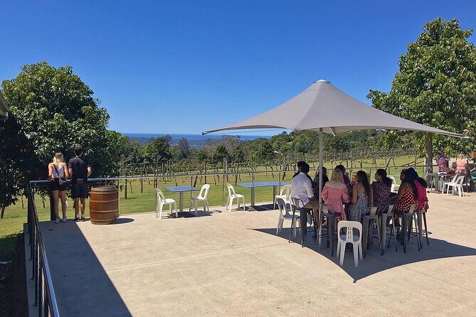 Montville, Maleny and Sunshine Coast Hinterland Tour with Lunch - Who Would Love This Tour?