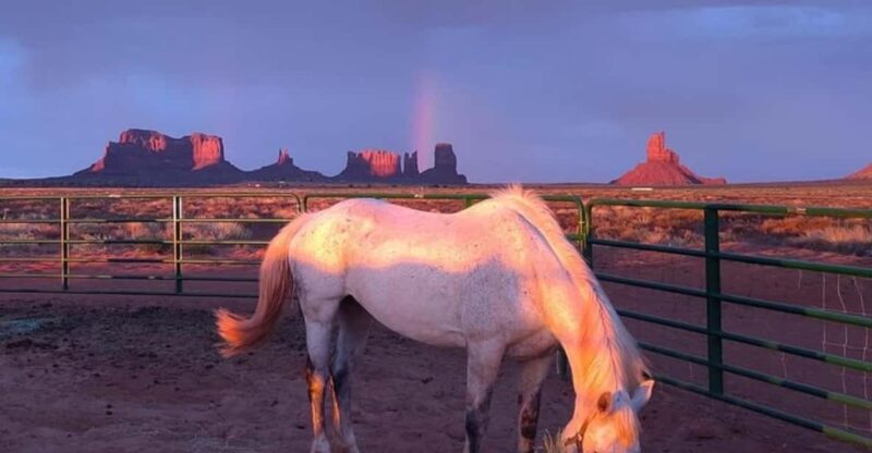 Monument Valley: Horseback Adventure Tour - What You Can Expect at Monument Valley Horseback Tour