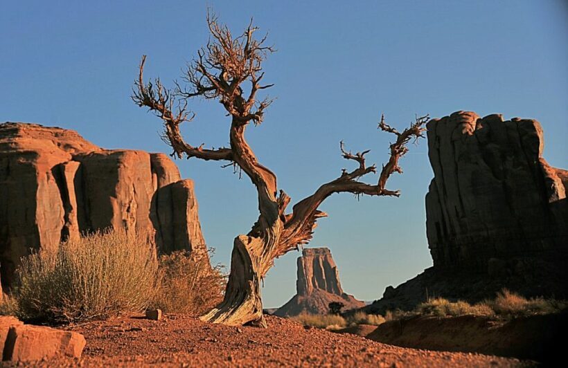 Monument Valley: Scenic 1.5-Hour Tour - The Nature of the Tour