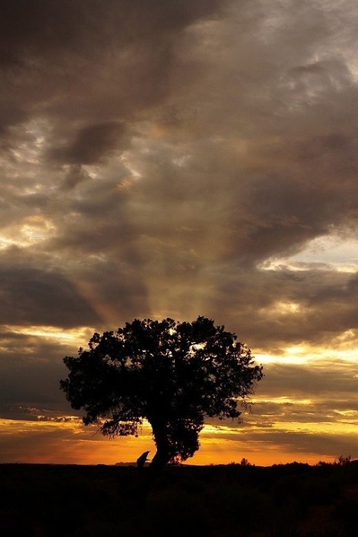 Monument Valley: Scenic 3.5-Hour Cultural Tour - Who Will Appreciate This Tour?