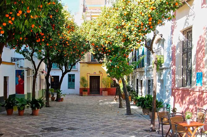 Monumental guided walking tour of the Santa Cruz district - Exploring Seville’s Santa Cruz District: A Guided Walking Tour Worth Taking