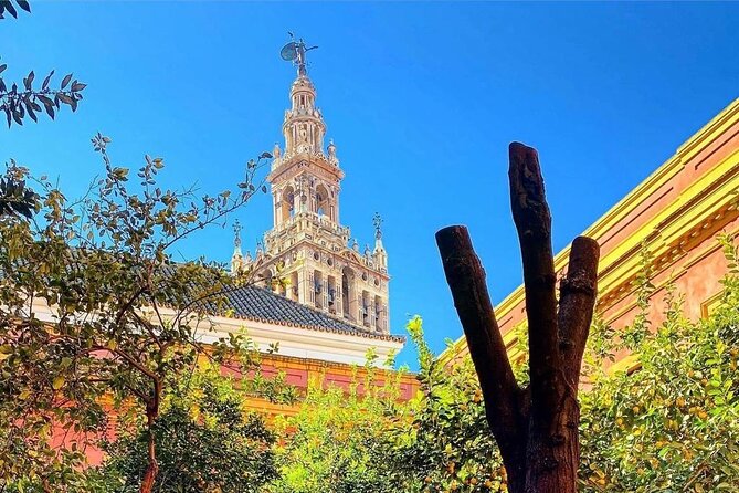 Monumental guided walking tour of the Santa Cruz district - The Sum Up