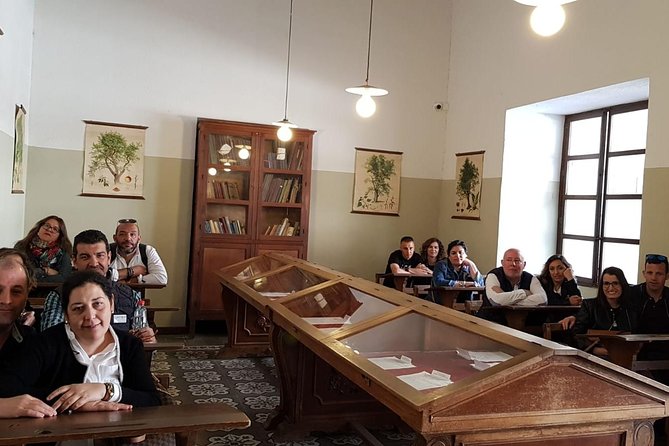 Monumental Úbeda and Baeza - Guided Tours With Interiors - Accessibility and Tour Logistics