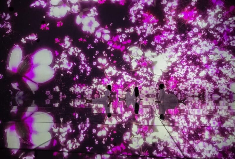 Monzen-Nakachō: Walking Tour With Sashimi Lunch & Teamlab - Teamlab Planets TOKYO: Immersive Digital Experience
