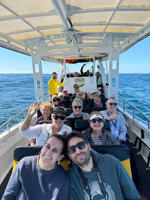Mooloolaba: 2-Hour Whale Watching Adventure - Who Will Enjoy This Tour?