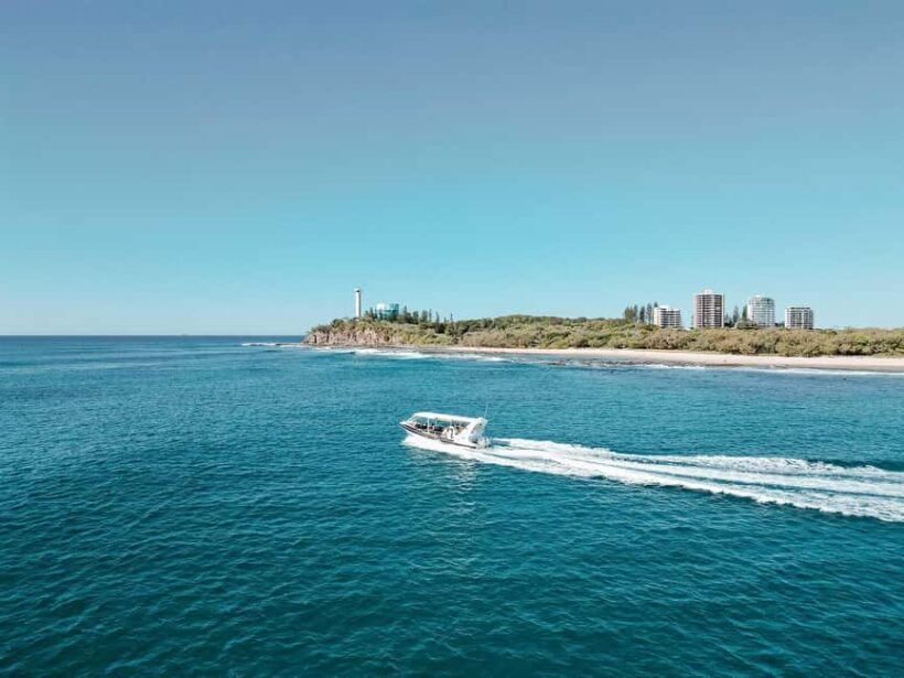 Mooloolaba: 2-Hour Whale Watching Adventure - Final Thoughts