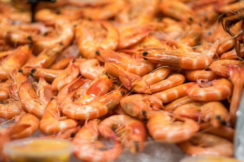 Mooloolaba: Seafood Lunch Cruise - Who Will Enjoy This Tour?