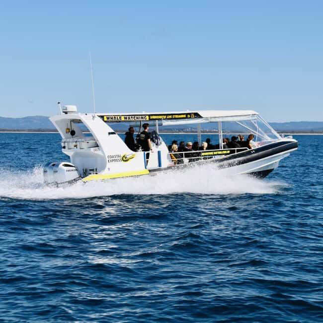 Mooloolaba: Whale Watching Cruise - Practical Tips for Travelers
