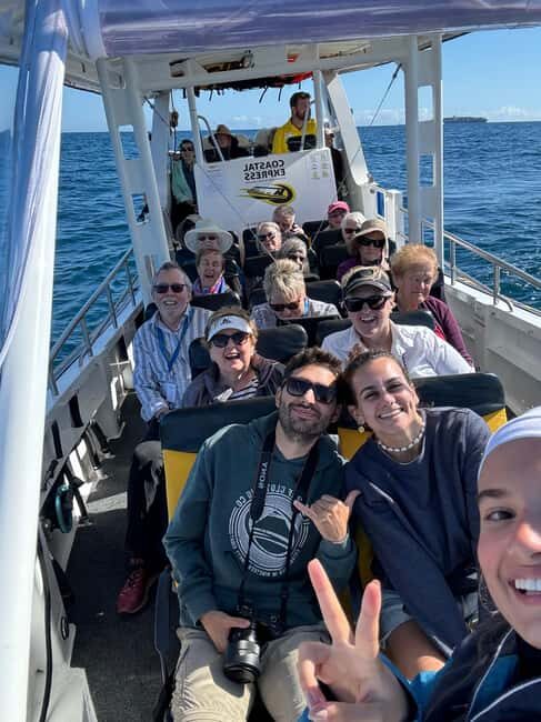 Mooloolaba: Whale Watching Cruise - The Sum Up