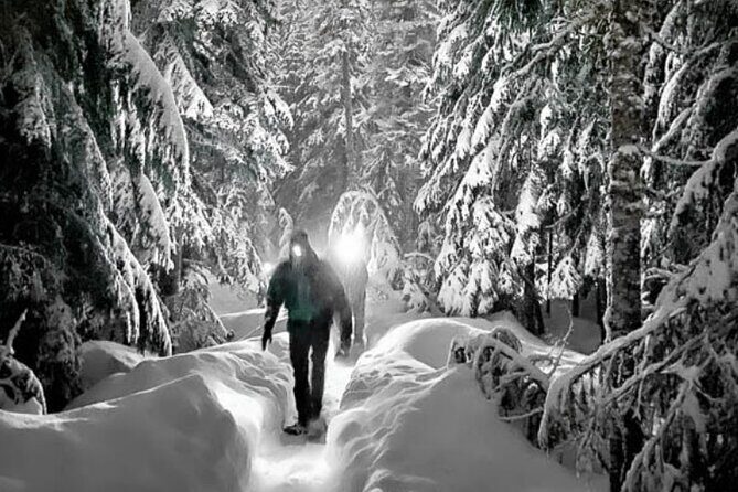 Moonlight Snowshoe Hike - The Value of This Nighttime Adventure