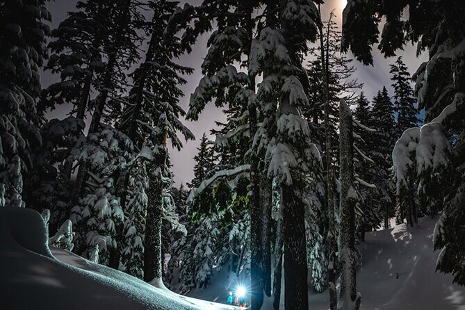 Moonlight Snowshoe Hike - Practical Tips for Your Moonlit Snowshoeing Night
