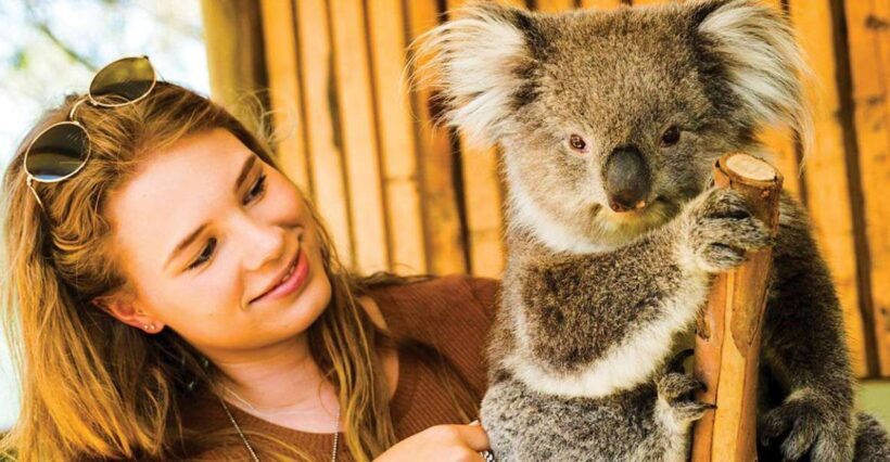 Moonlit Sanctuary Conservation Park Entry Ticket - The Experience: What to Expect at Moonlit Sanctuary