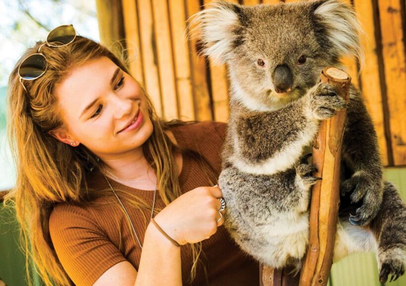 Moonlit Sanctuary Conservation Park Entry Ticket - Authentic Encounters and Visitor Insights