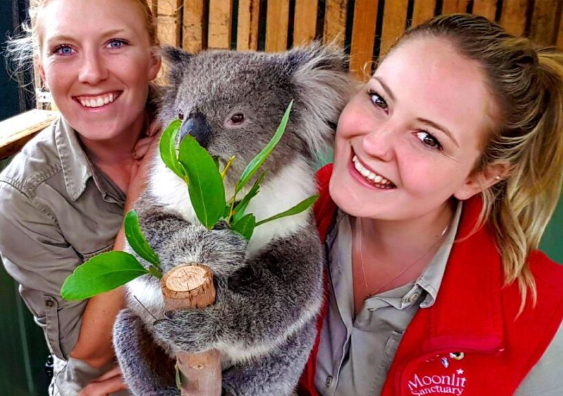 Moonlit Sanctuary Conservation Park Entry Ticket - Who Will Love This Experience?