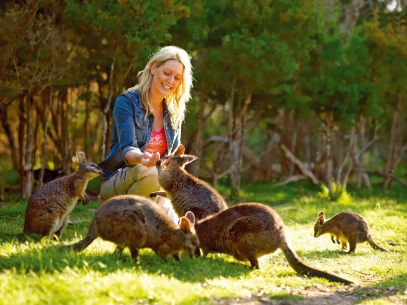 Moonlit Sanctuary Conservation Park Entry Ticket - FAQs