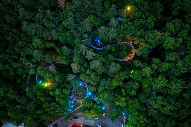 Moonshine Mountain Coaster Ride - Why the Moonshine Mountain Coaster Stands Out