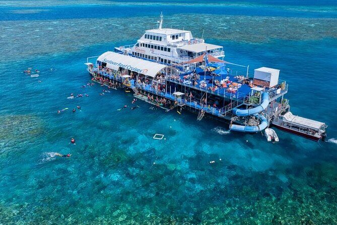 Moore Reef Day Tour with Dive from Cairns - Key Points