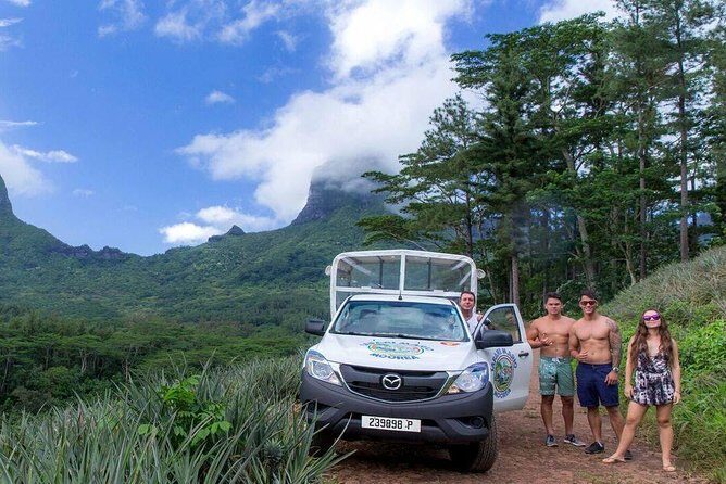 Moorea 4WD Tour Inc. Belvedere, Pineapple Farm, Magic Mountain... - A Deep Dive into the Moorea 4WD Tour