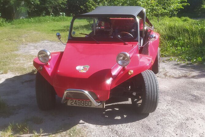 Moorea Buggy Rental - An In-Depth Look at Moorea Buggy Rental